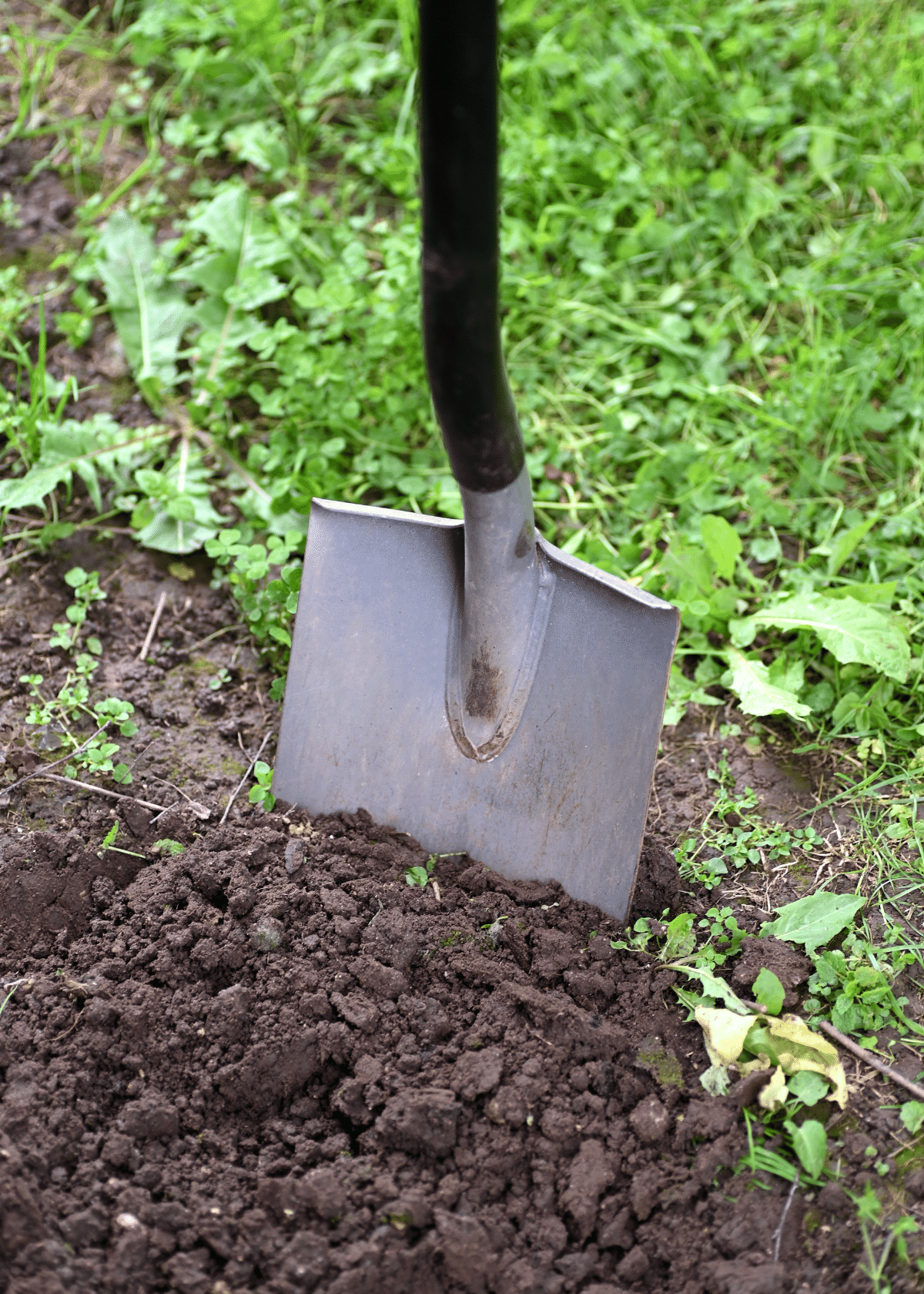 The Best Camping Shovel: Find the Right One for Your Needs