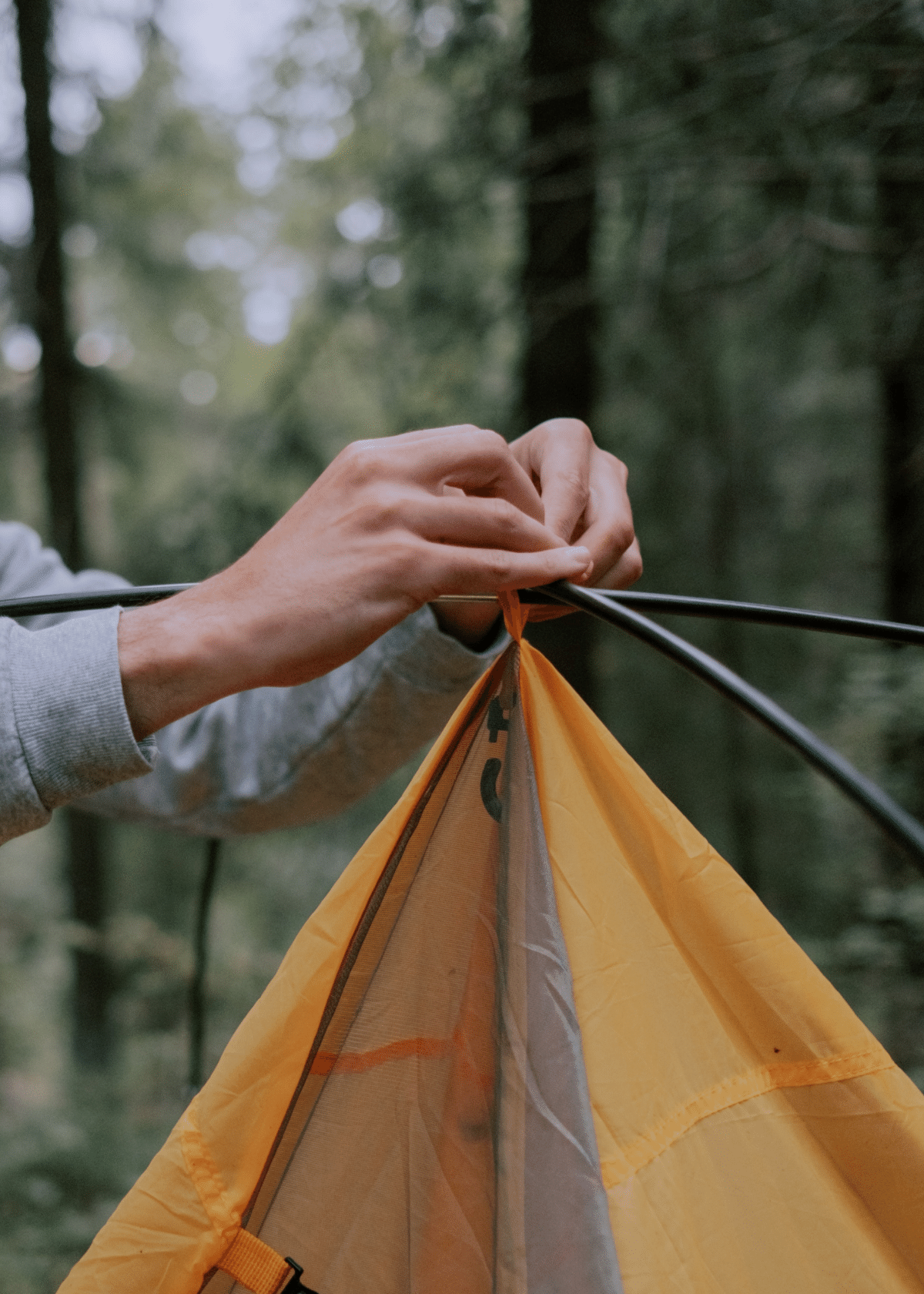 The Best Instant Tent: Stop The Hassle!