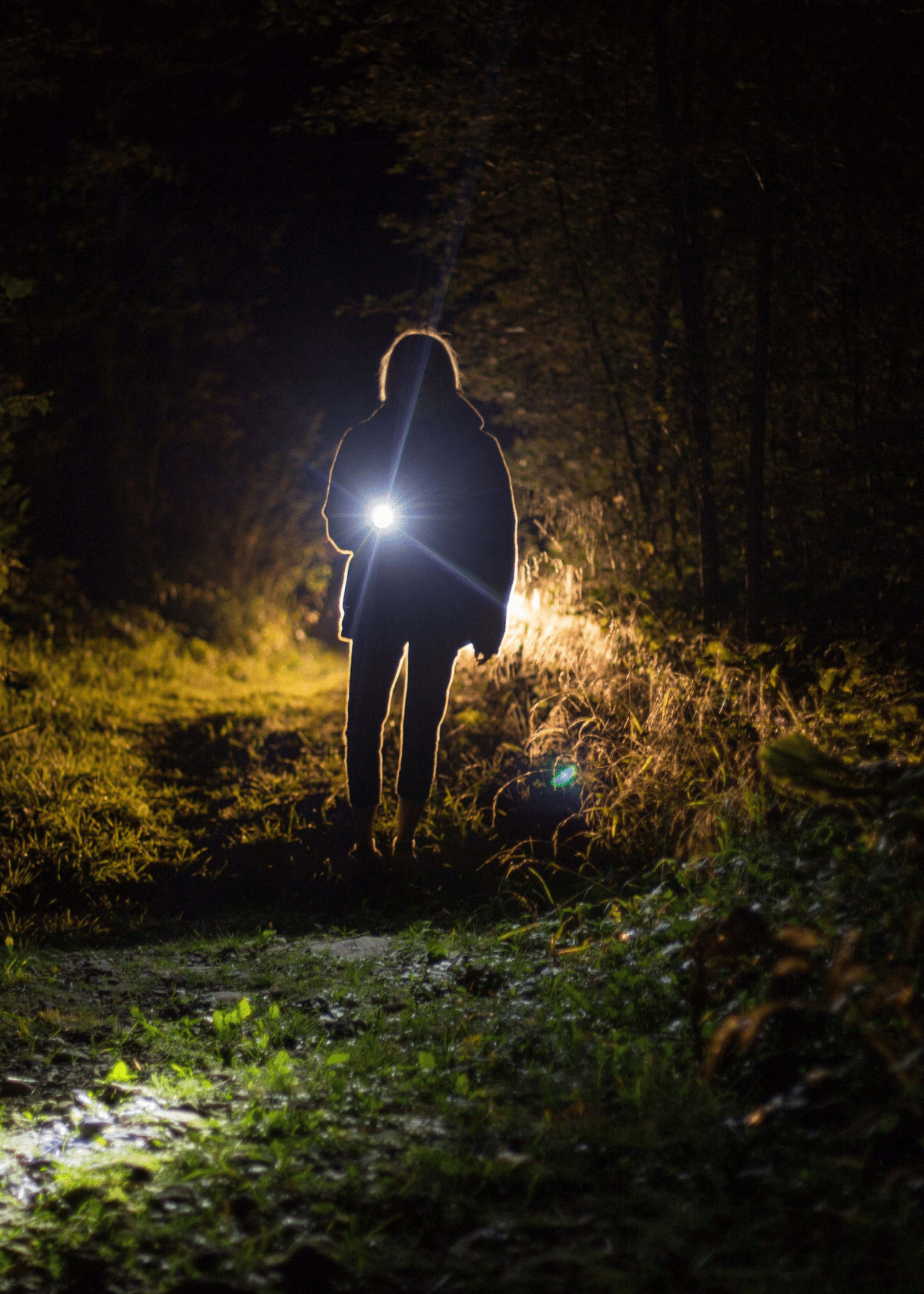 The Best Flashlight for Camping: Don't Get Stuck In The Dark!