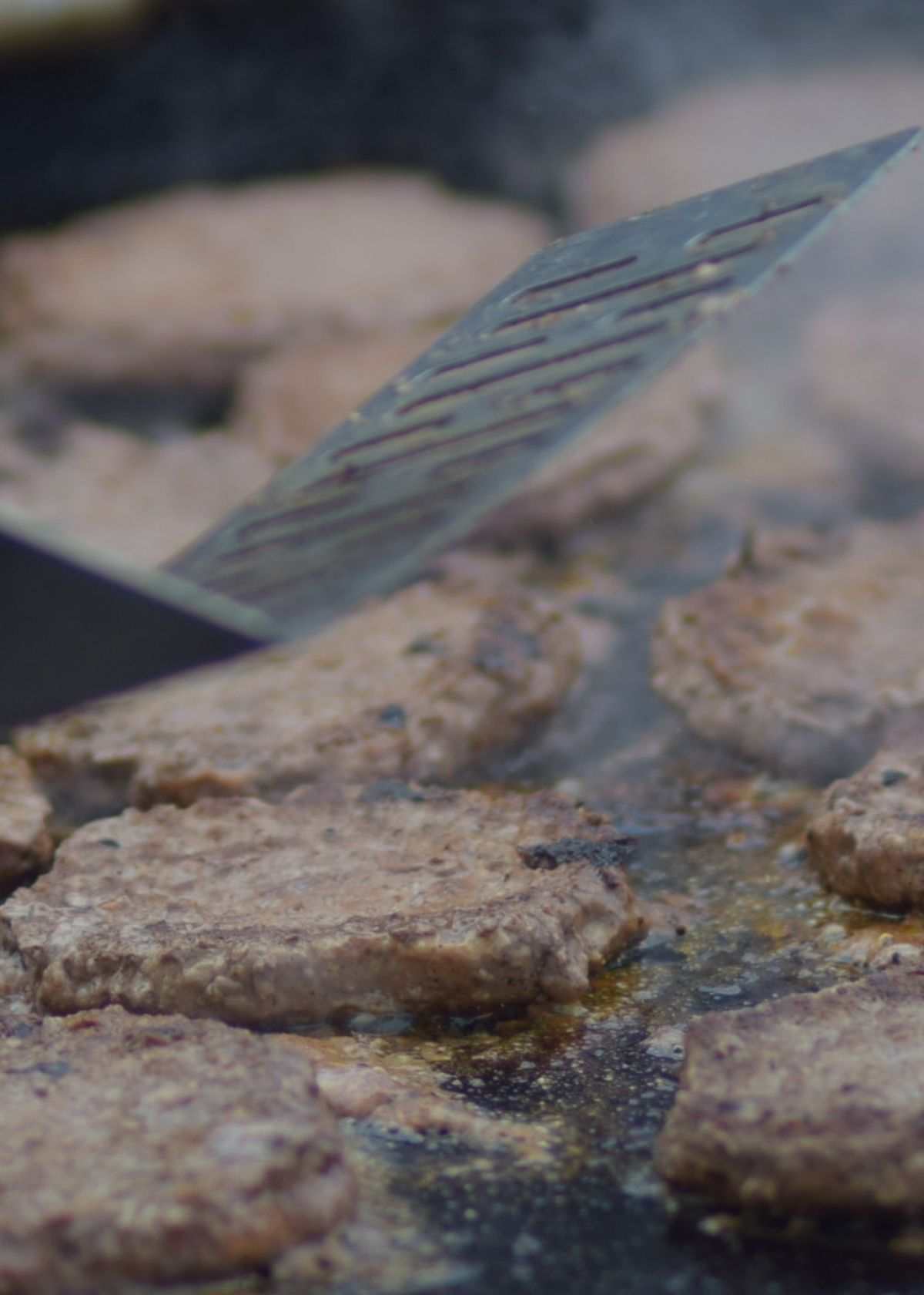 5 Features to Look For In The Best Camping Griddle!